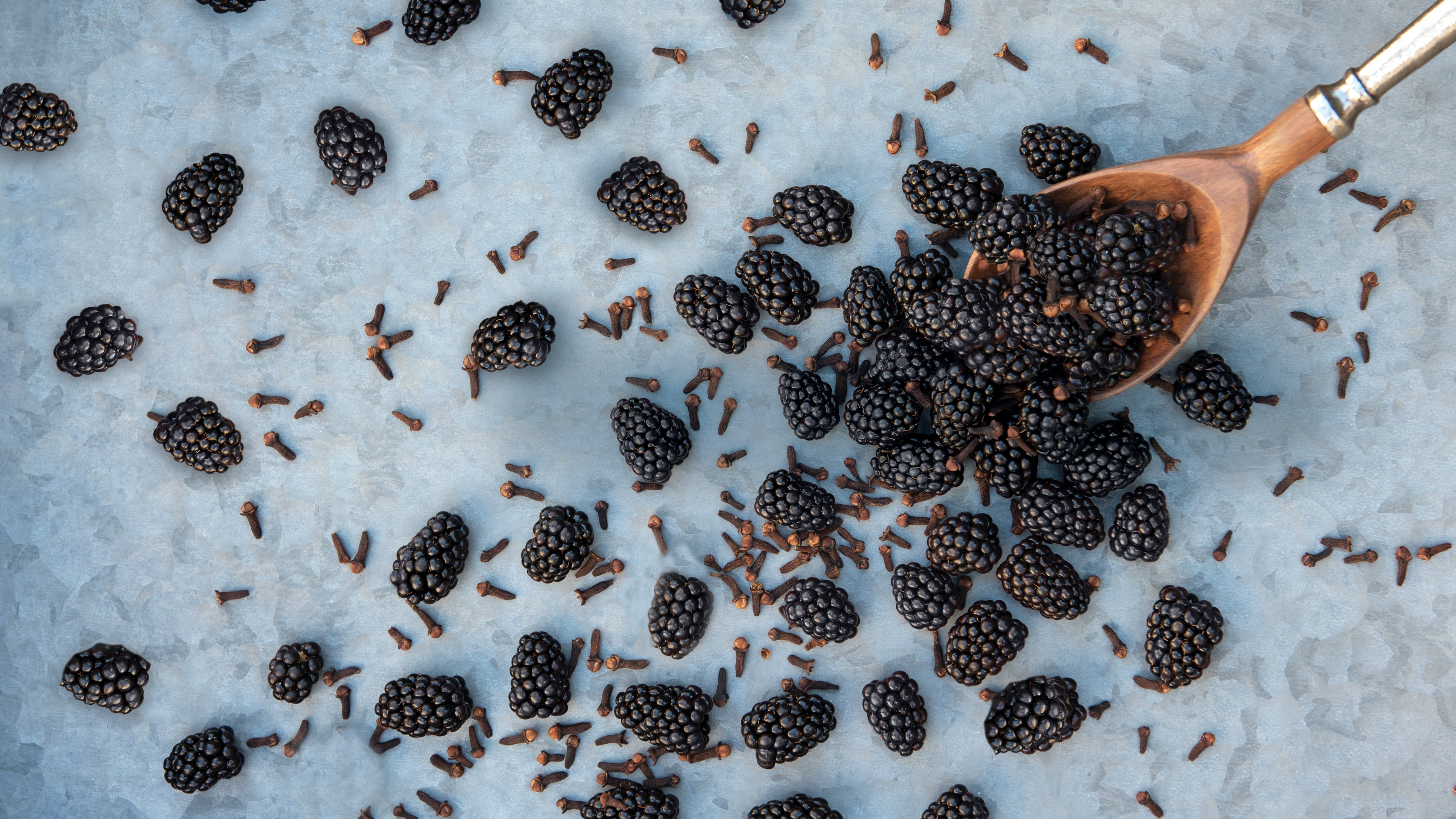 Blackberry Clove | Little Trees