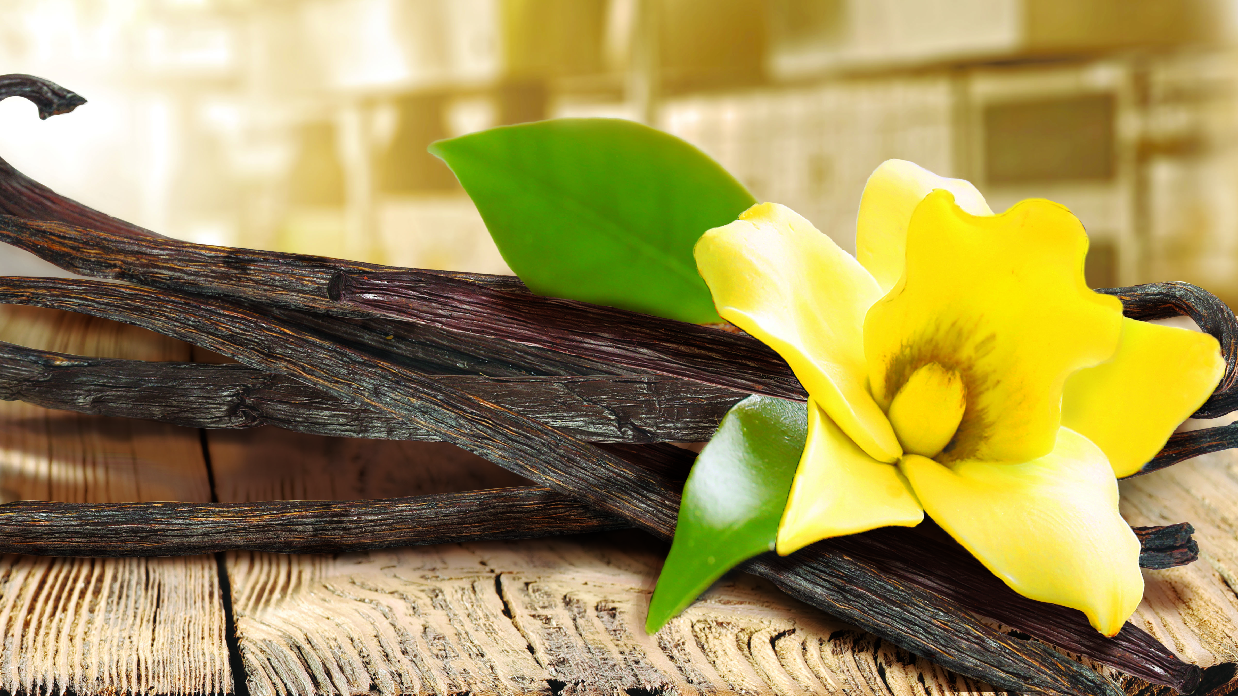 Vanillaroma | Little Trees