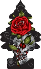 About | Little Trees